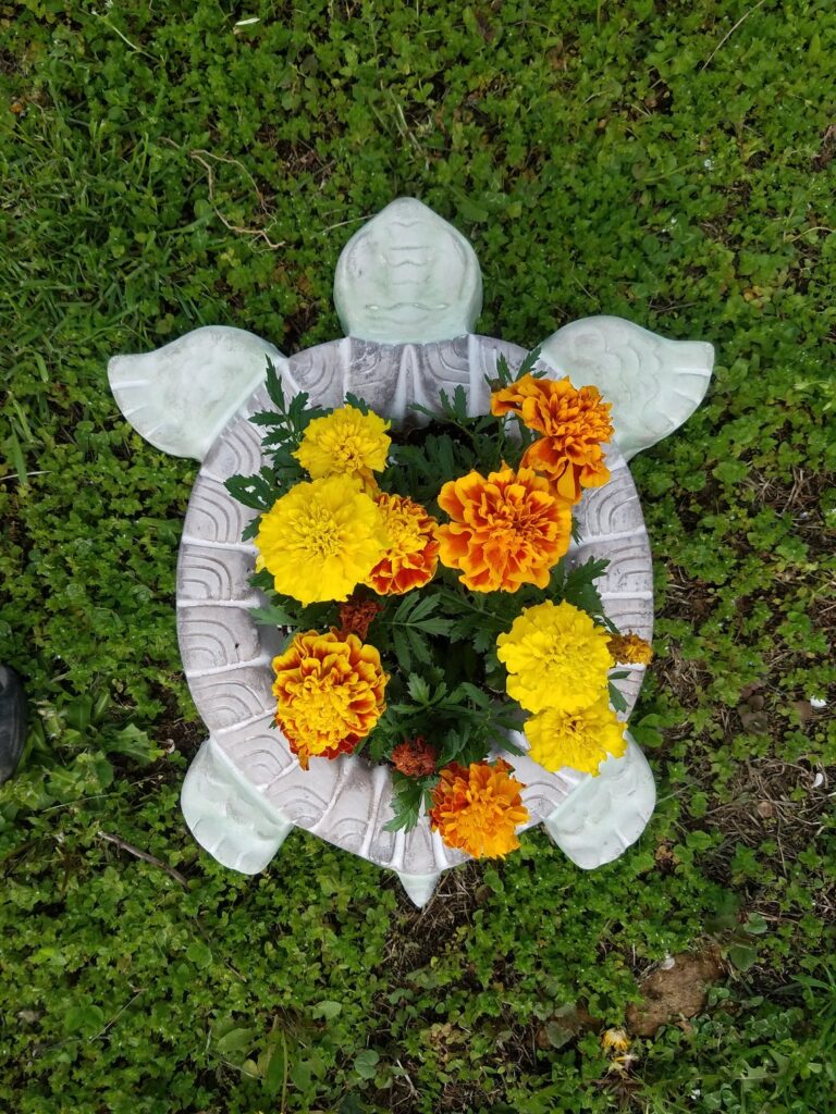Floral Turtle for Garden, Flower Bouquet Holder, Very Beautiful Looking ...
